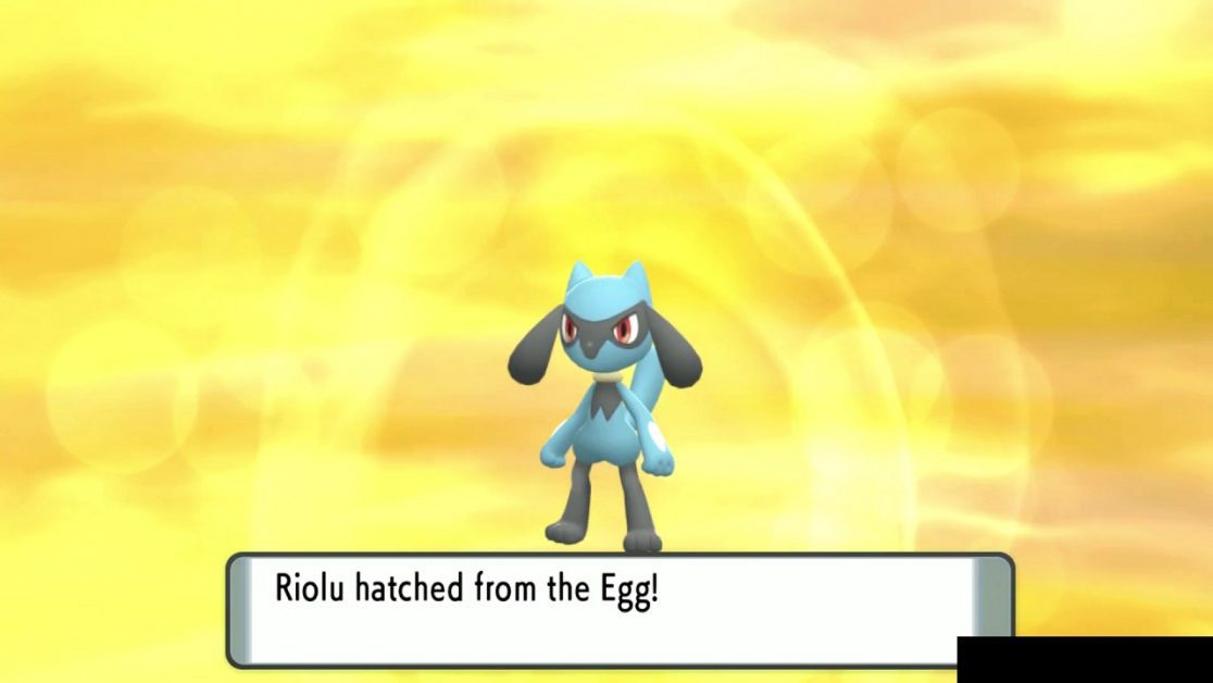 How to Evolve Riolu into Lucario | Pokemon Brilliant Diamond & Shining ...