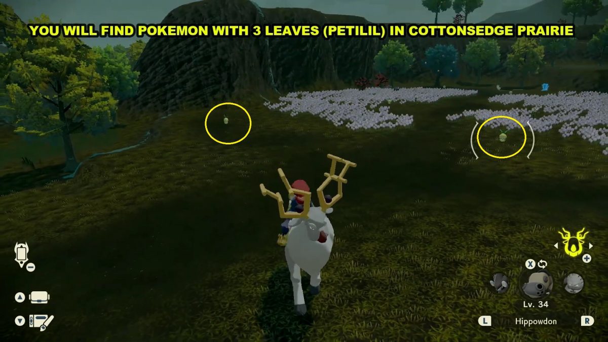 The Search for Bitter Leaves: Pokemon with Three Leaves | Pokemon ...