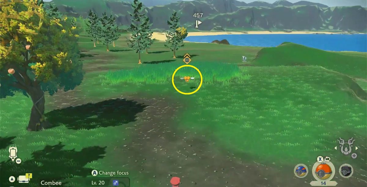 The Taste of Honey: Ramanas Island Combee Location | Pokemon Legends ...