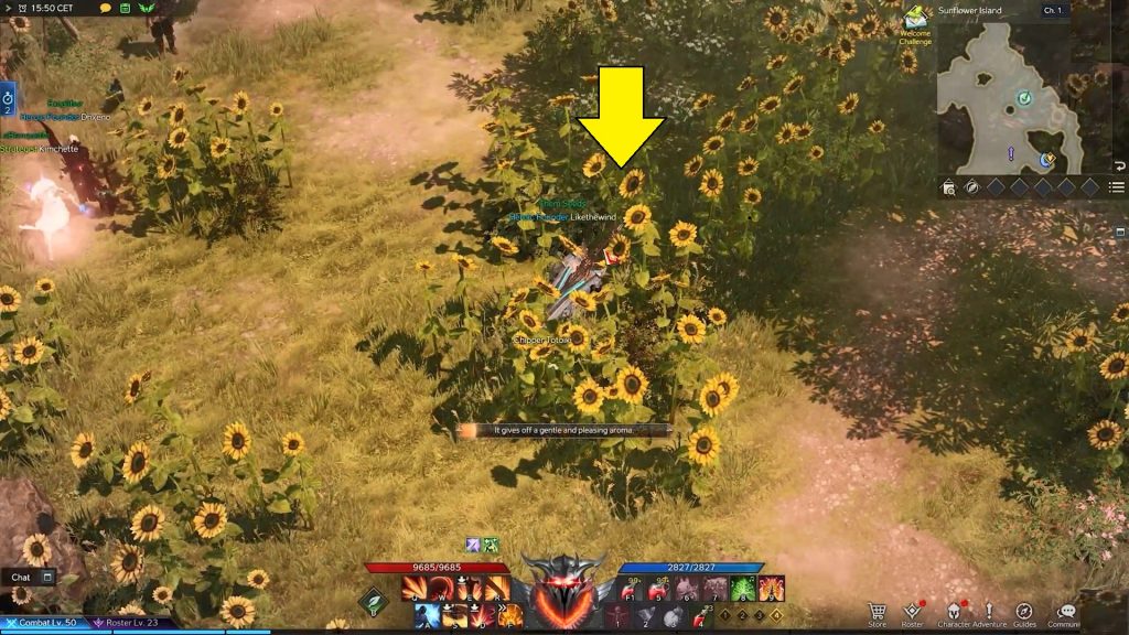 Sunflower Island All Mokoko Seeds Location In Lost Ark GAMERPILLAR