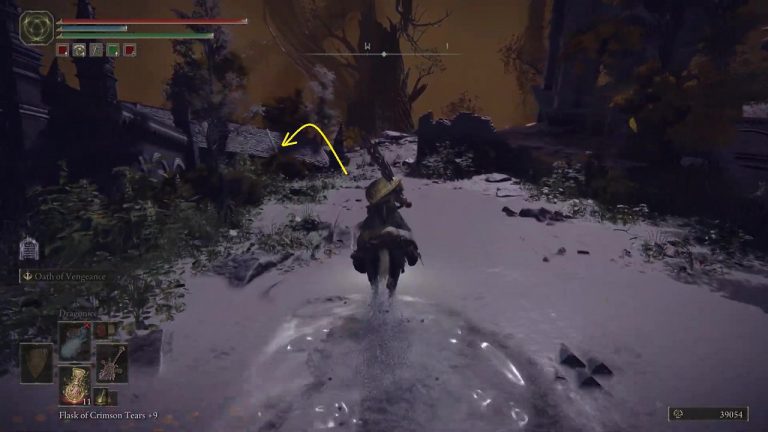 Fia Questline Complete Guide: Withered Dagger, Locations & Ending ...