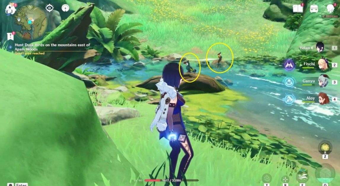 A Short Encounter with a Rare Bird World Quests | Genshin Impact 3.0 ...