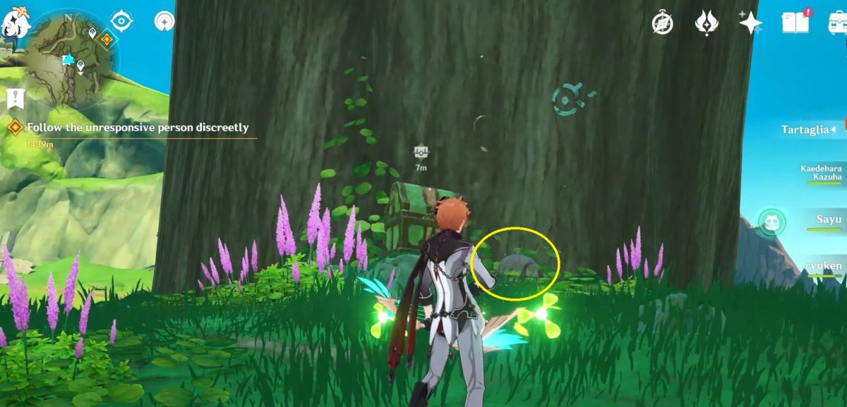 Luxurious Chest Location in Apam Wood | Sumeru Genshin Impact 3.0 ...