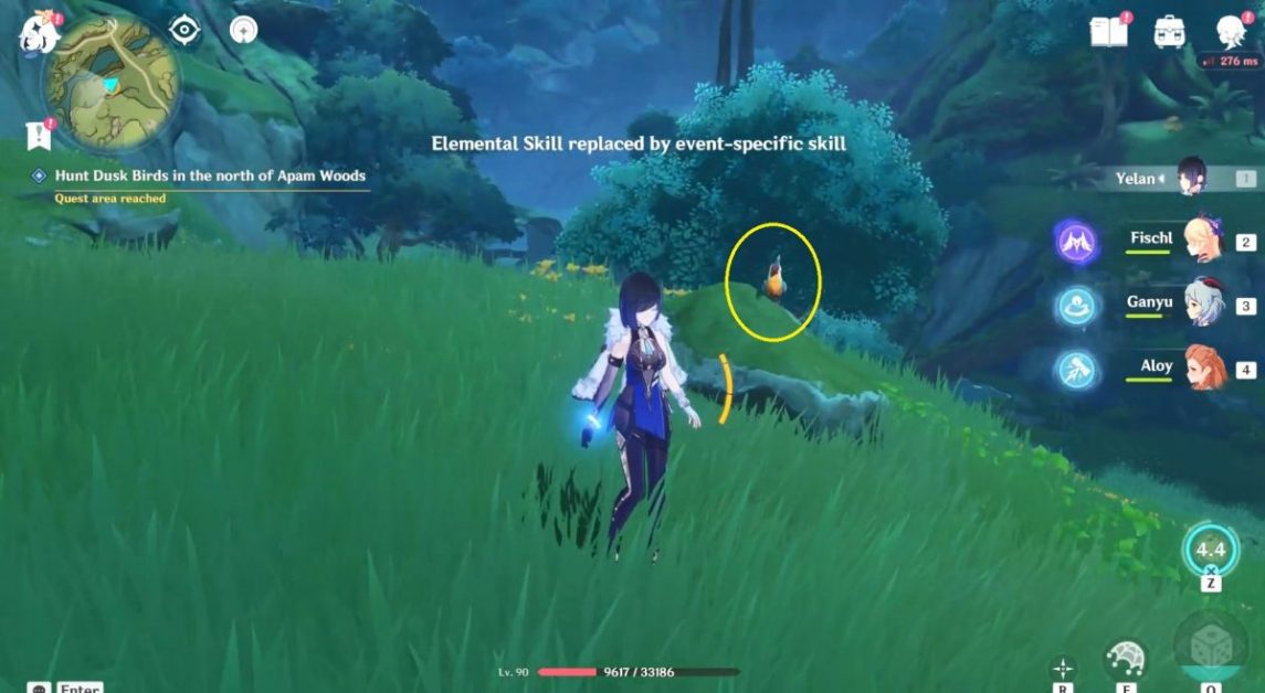 A Short Encounter with a Rare Bird World Quests | Genshin Impact 3.0 ...