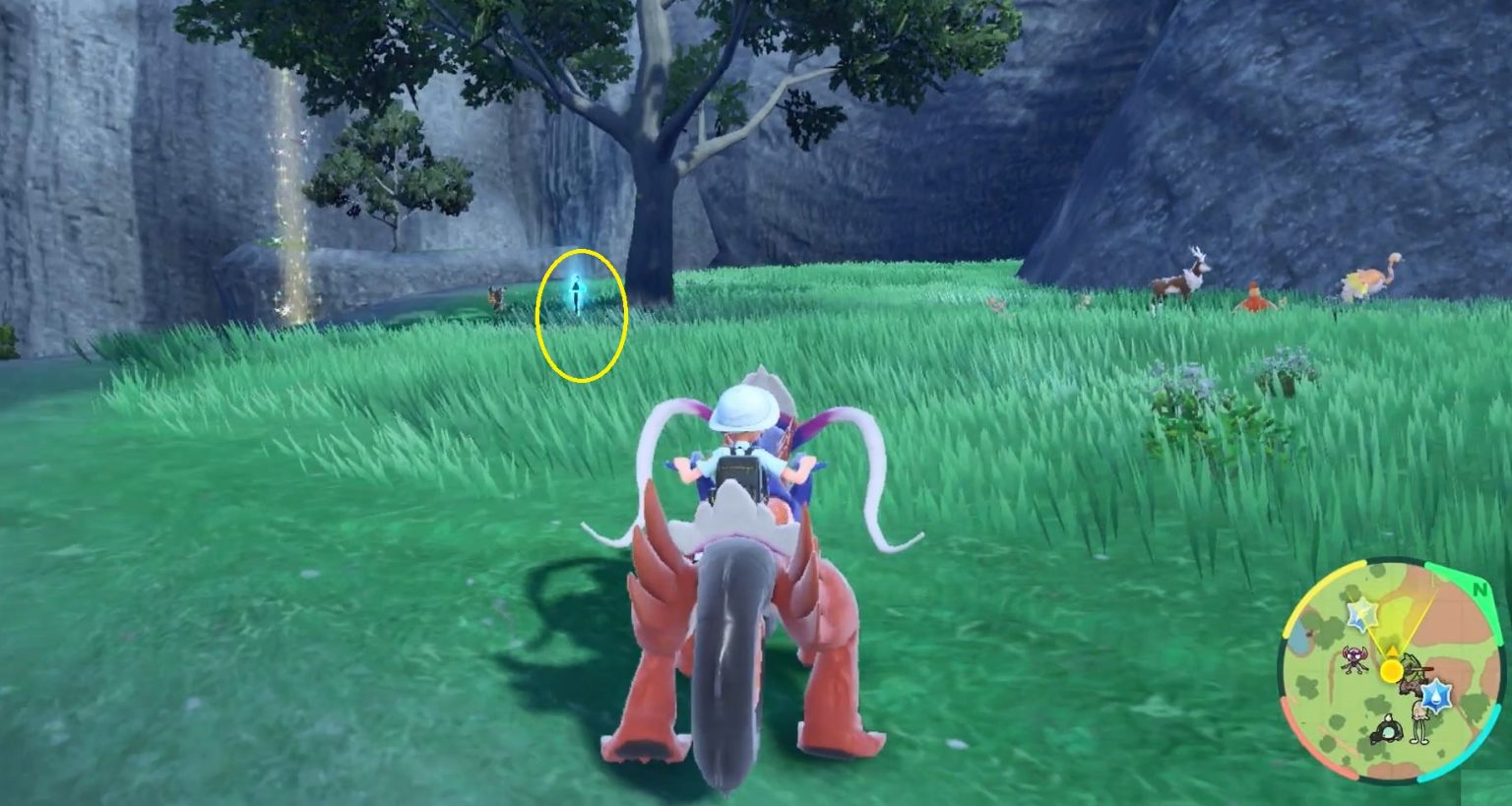 All 8 Blue Stake Locations | Pokemon Scarlet and Violet – GAMERPILLAR