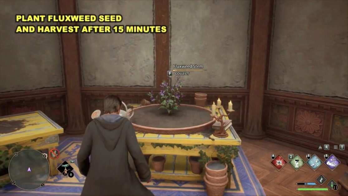 How to Plant a Fluxweed Seed in Hogwarts Legacy – GAMERPILLAR