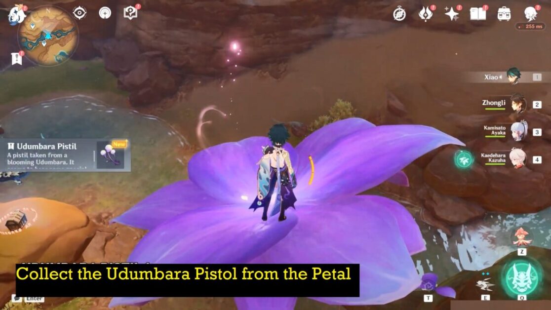 Genshin Impact – All Udumbara Pistil Locations – GAMERPILLAR