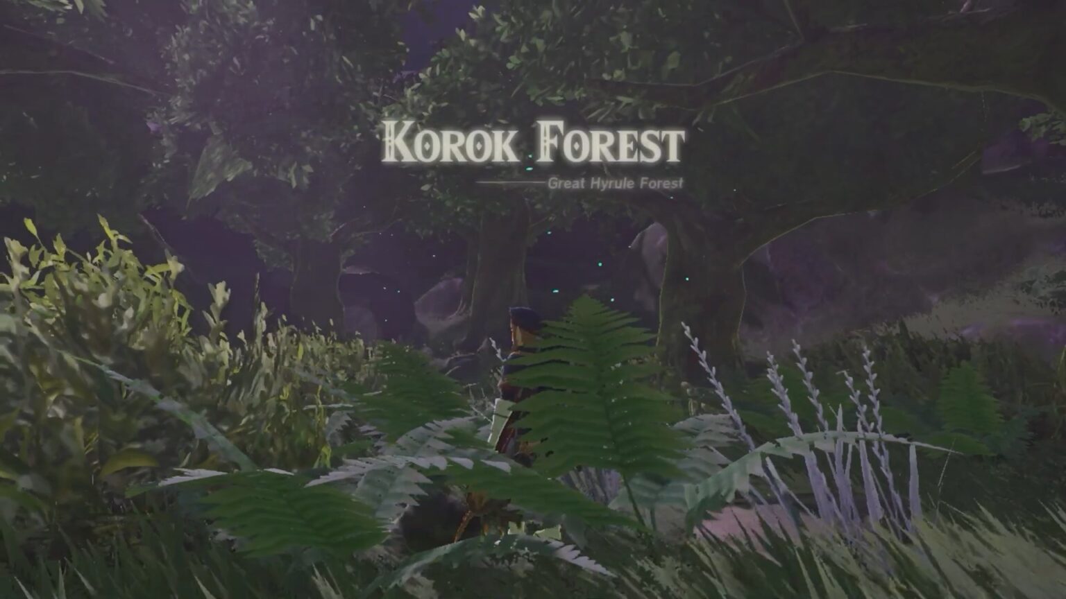 How To Get To Korok Forest in Zelda Tears Of The Kingdom – GAMERPILLAR