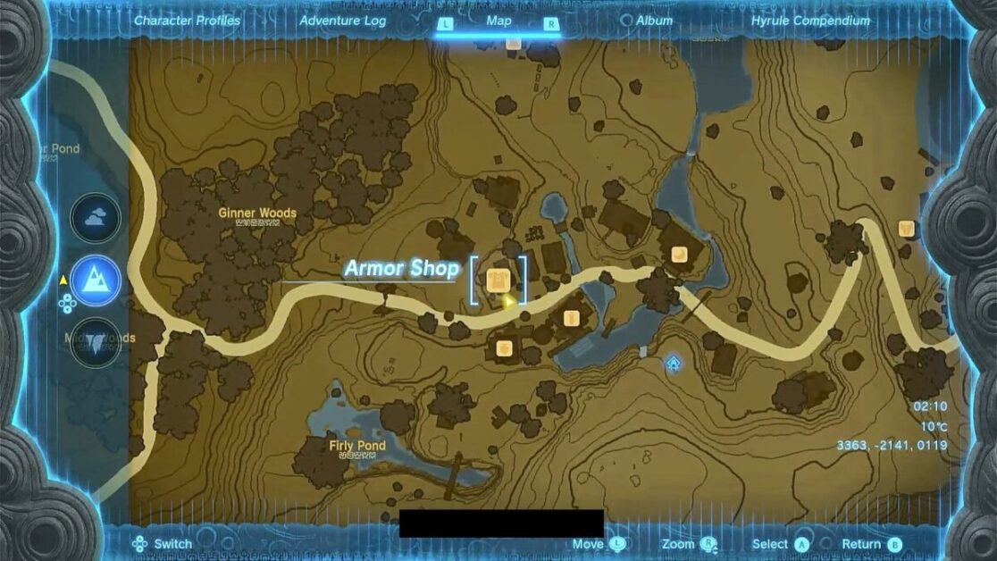 Team Cece or Team Reede | Legend of Zelda Tears of the Kingdom ...