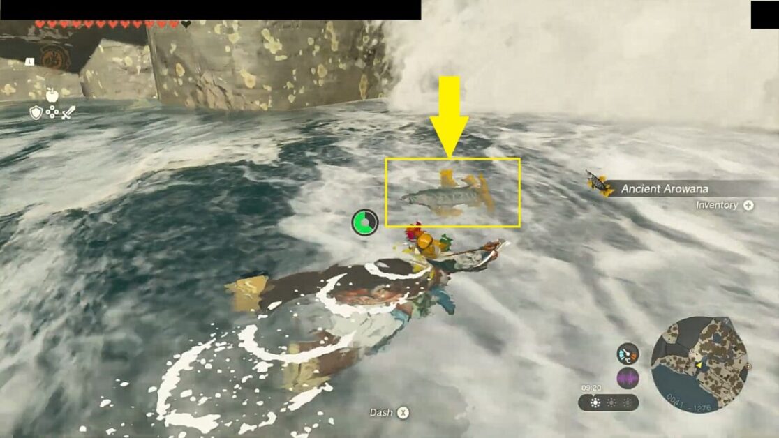 Where to find Ancient Arowana fish Location | The Legend of Zelda ...