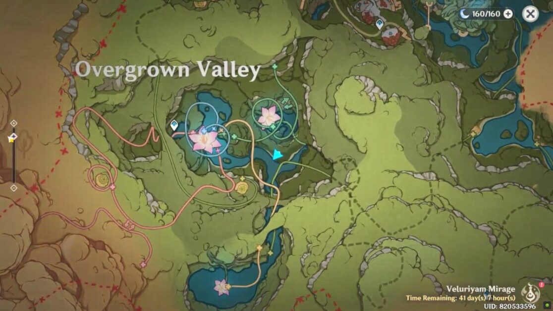 Find the hidden Hydro Eidolon in Overgrown Valley | Genshin Impact 3.8 ...