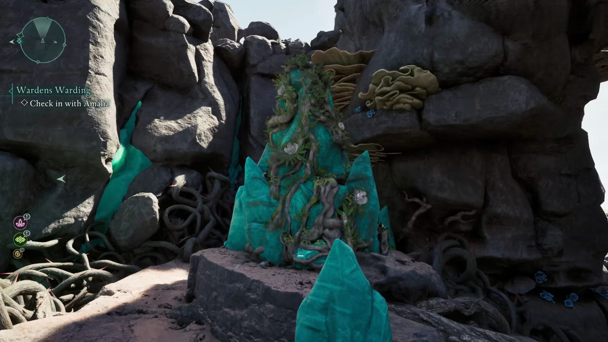Avowed – All 5 Strangled Adra Locations Guide – Pillars of Eternity ...