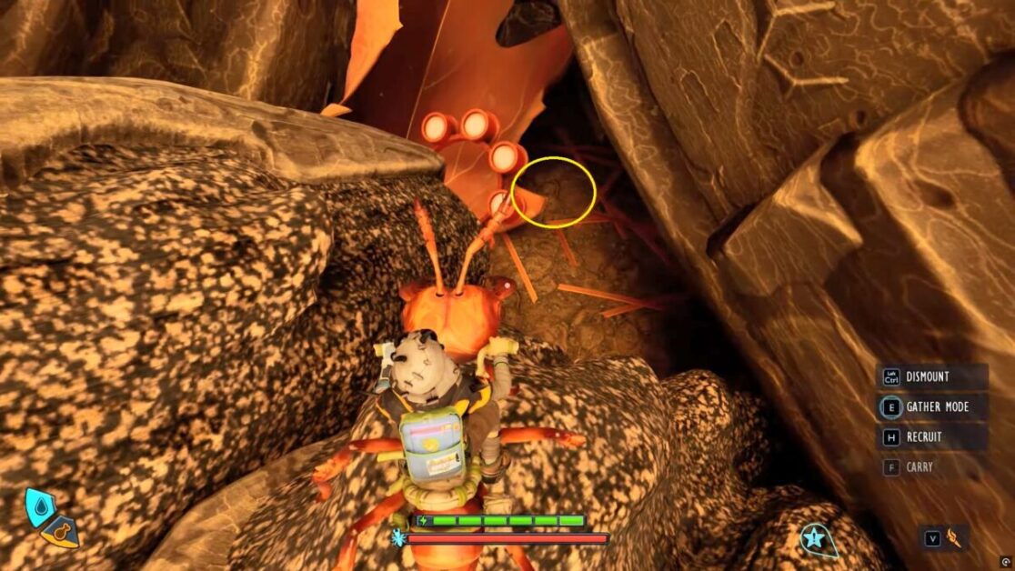 Sizzling Key Chest Location in Grounded 2 – GAMERPILLAR